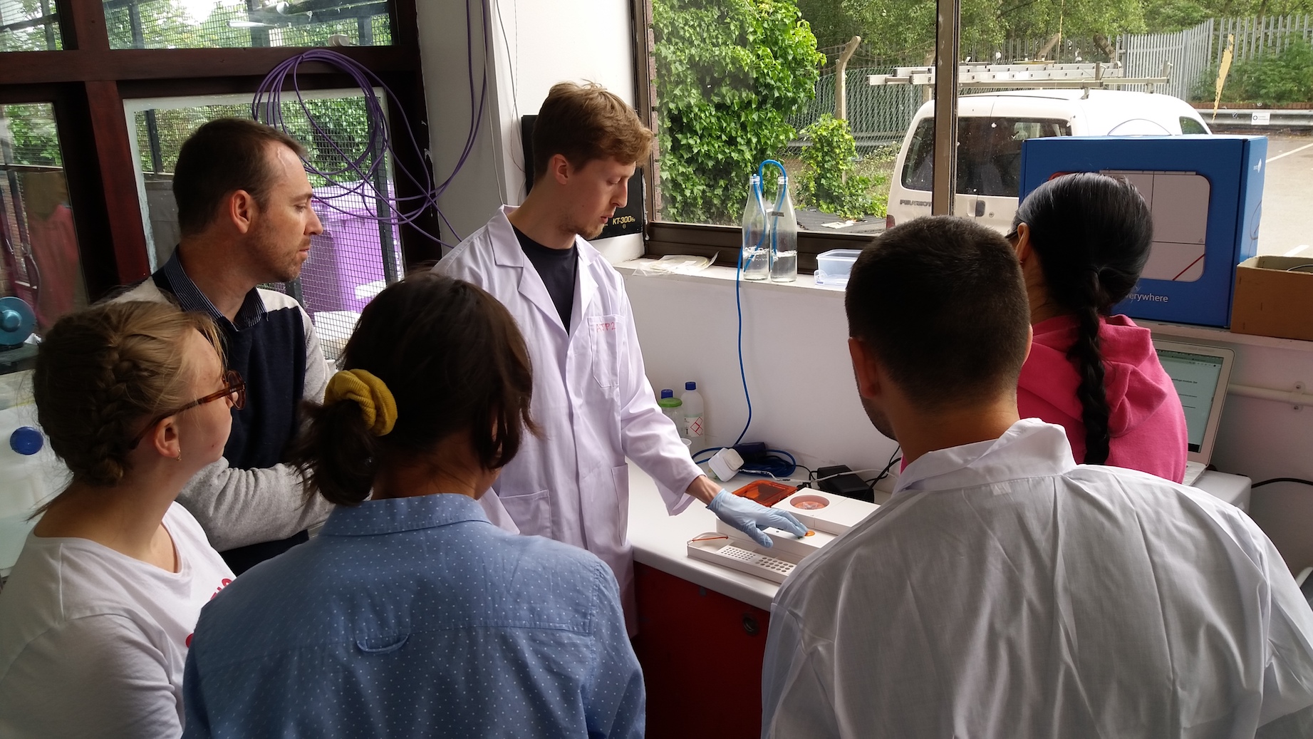 Summer DNA Workshop | London Biohackspace