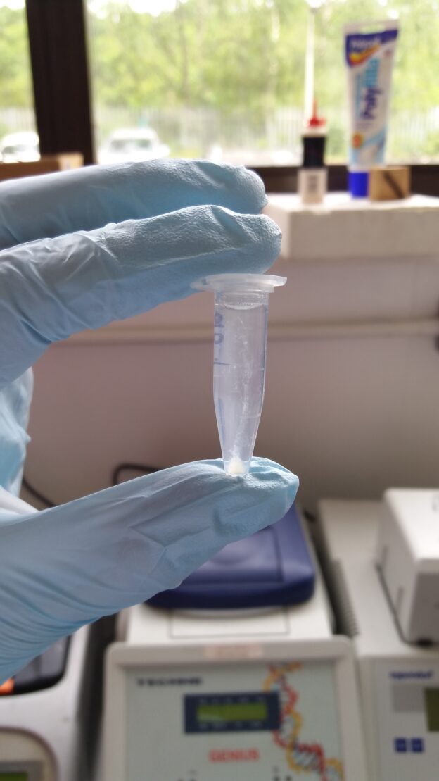 Summer DNA Workshop | London Biohackspace