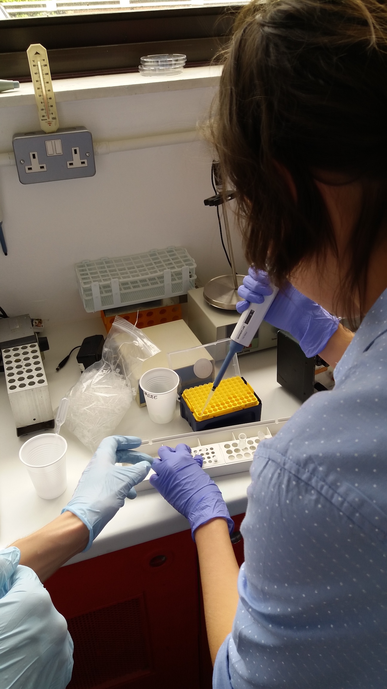 Summer DNA Workshop | London Biohackspace