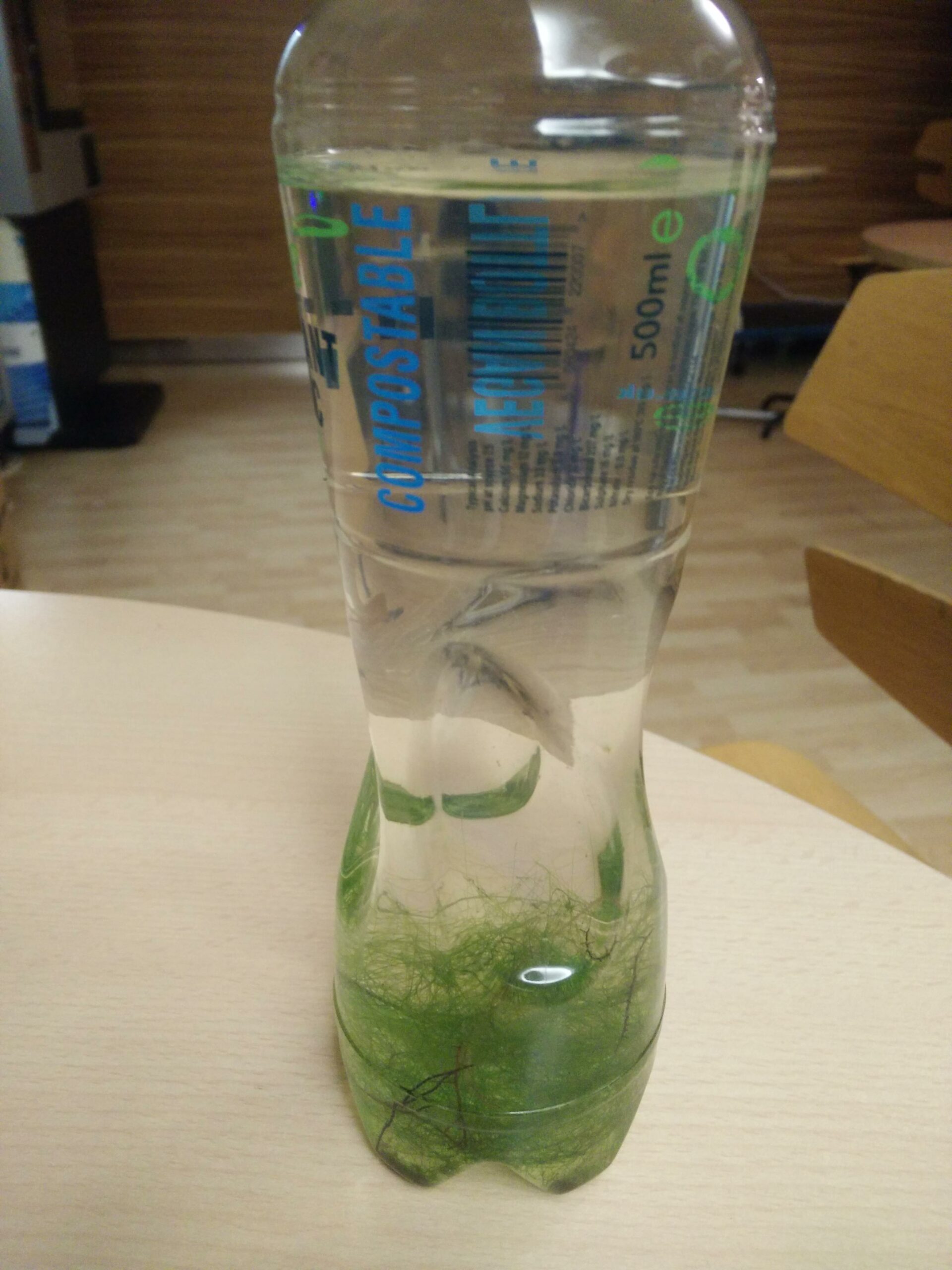 Microscope Workshop | London Biohackspace